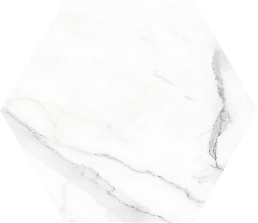 Apini | Beaver Tile & Stone